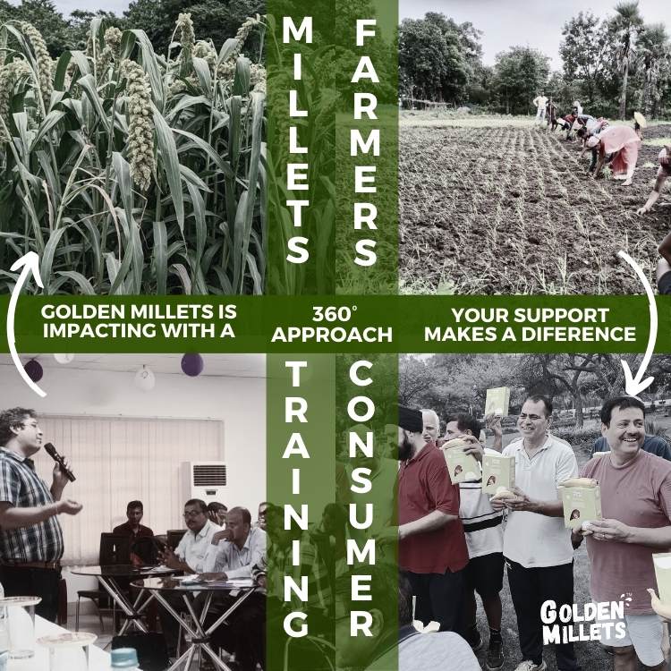MILLET COMBOS- SUPER SAVER – Golden Millets